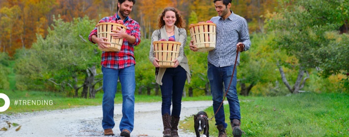 10 Tips for a Healthy Fall